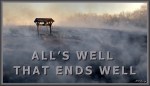 Well And Good | A Berg's Eye View