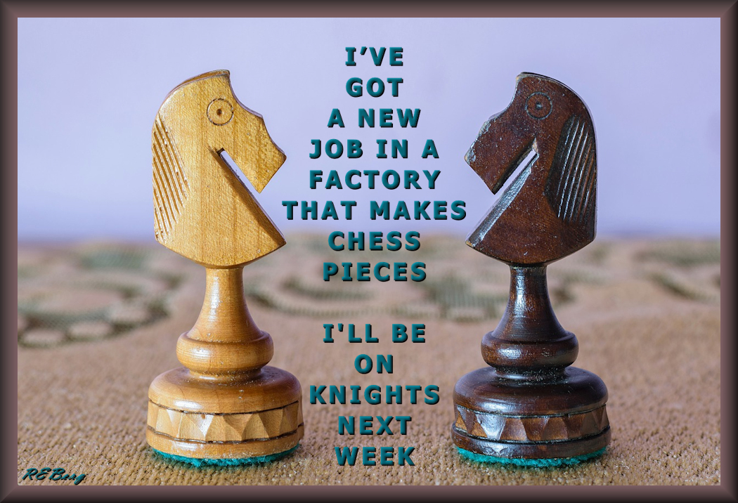 Knight Moves | A Berg's Eye View