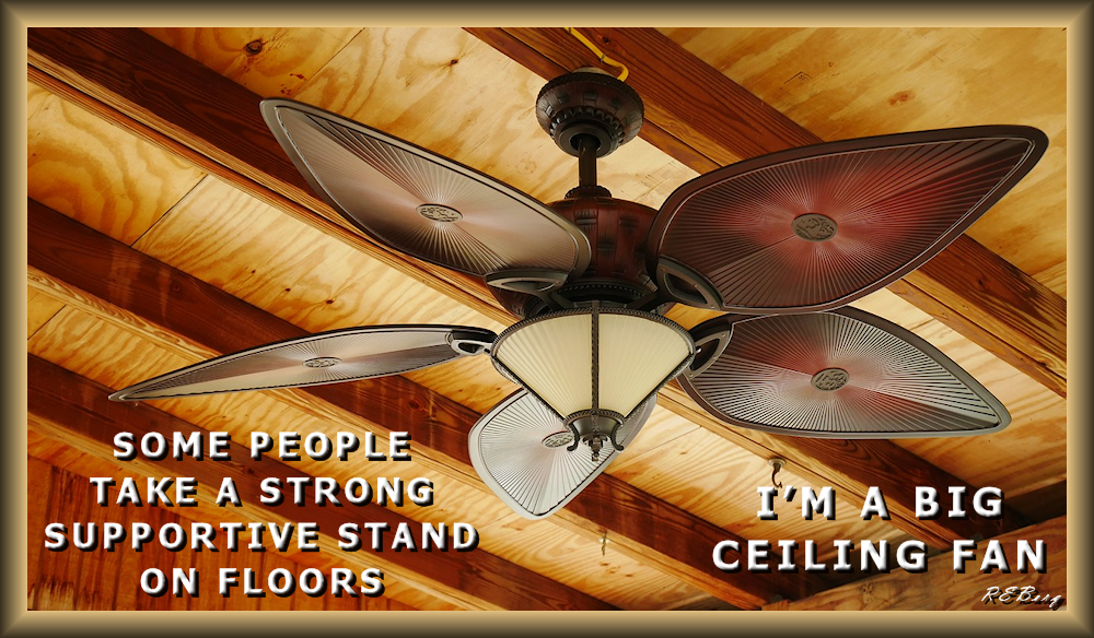 Looking Up A Berg S Eye View