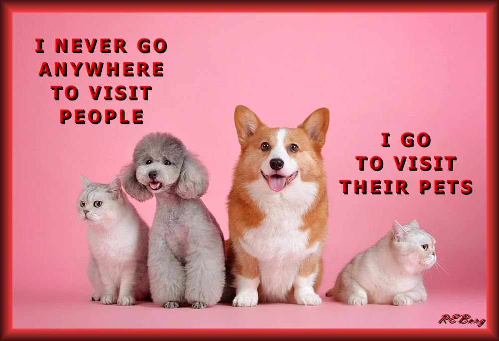 Visit Veracity | A Berg's Eye View